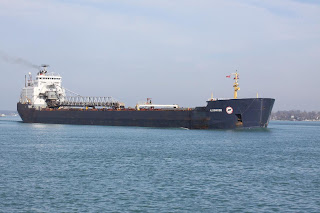 Michigan Exposures: And Now...The Algowood