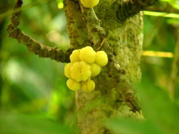 Roshographs: July 2012