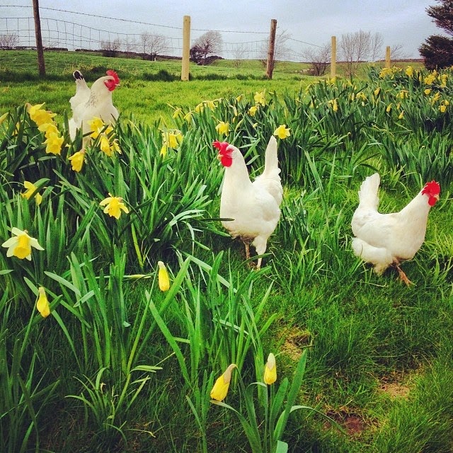 Just Call Me Ruby: April 2014