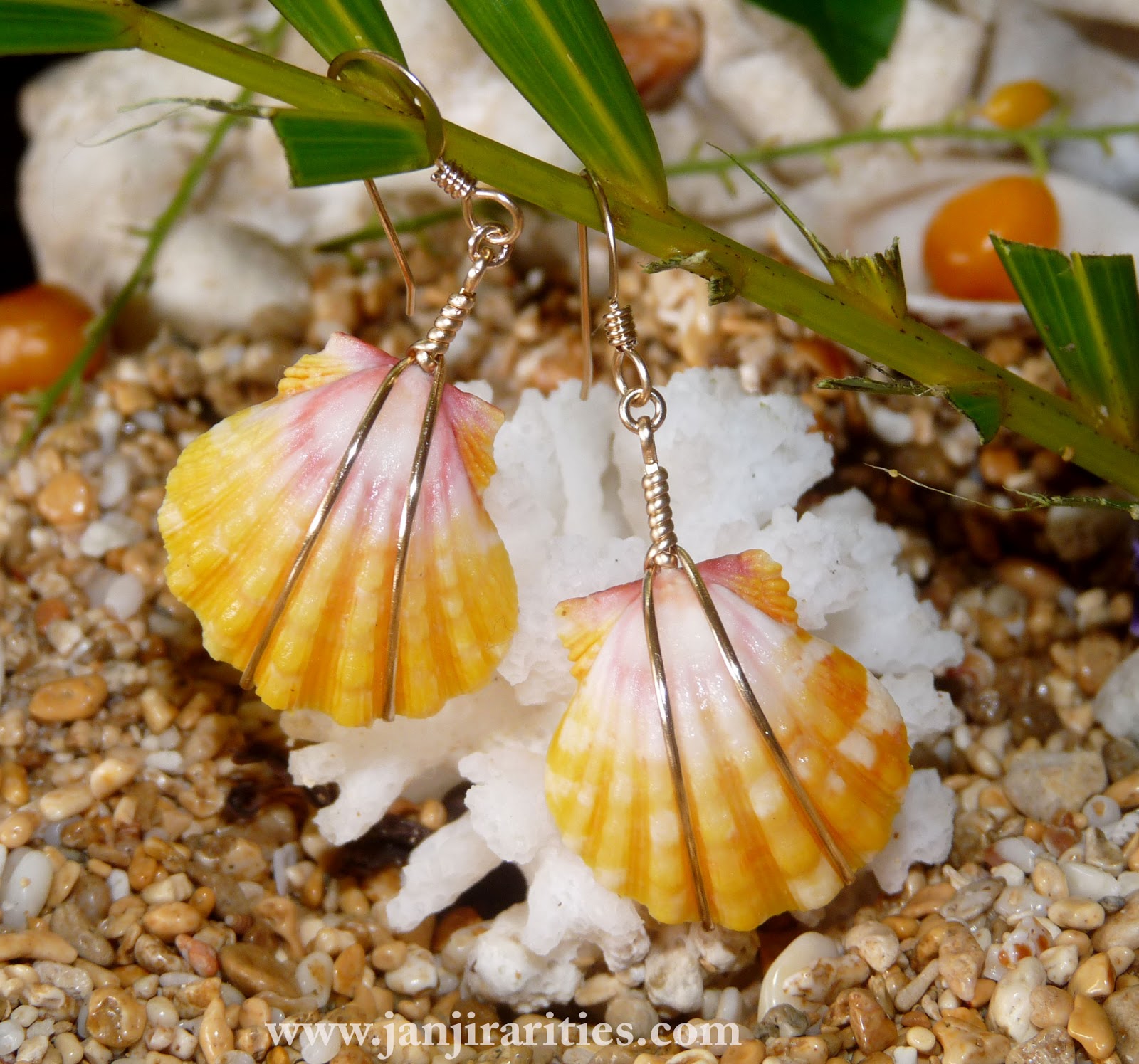 Kahelelani & Sunrise shell jewelry by.... Janjira: Sunrise shells earrings