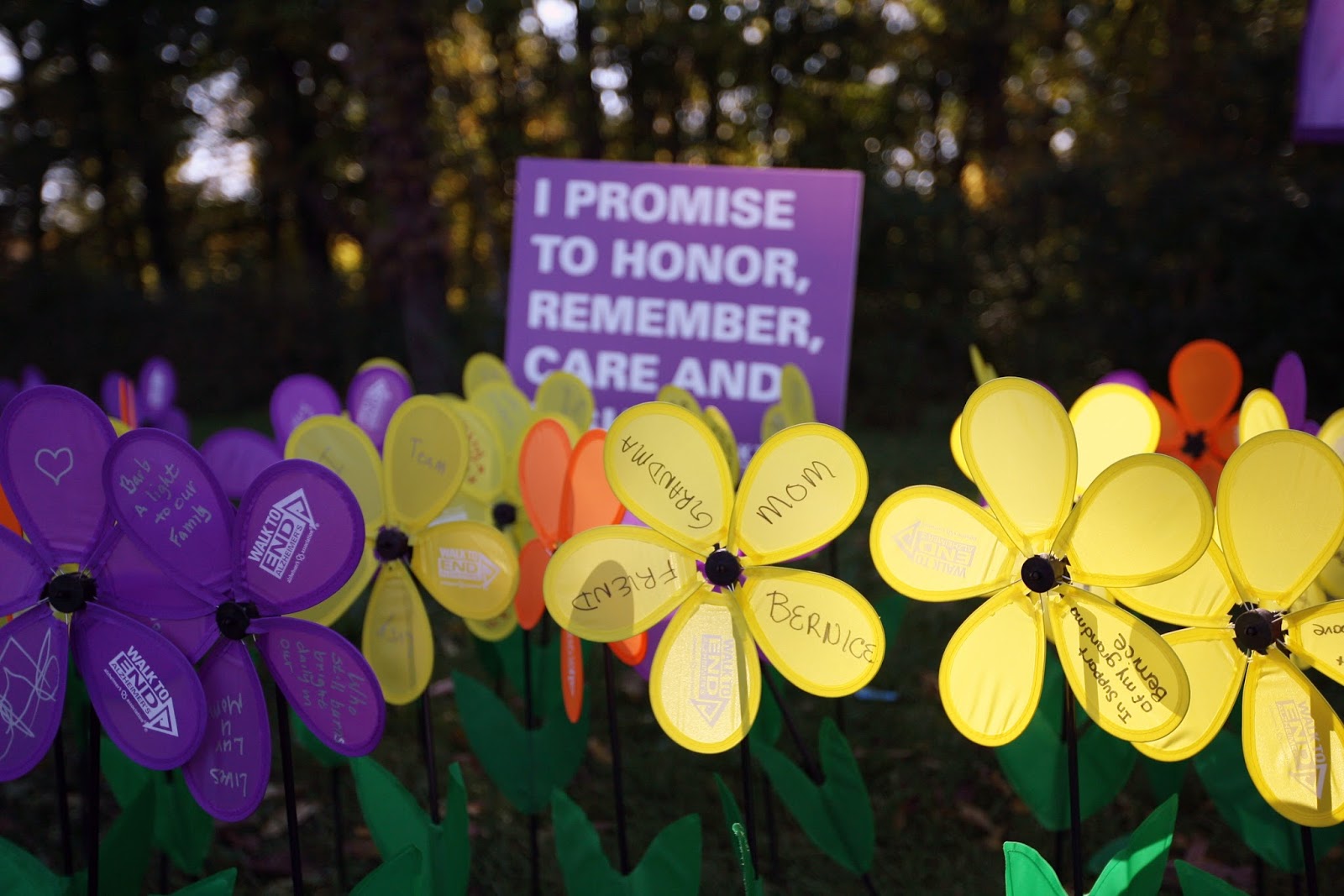 Mark Kodiak Ukena: Walk to End Alzheimer's Disease