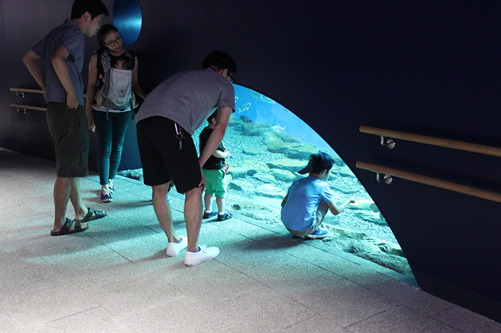 Zoos in Japan: Lake Biwa Museum