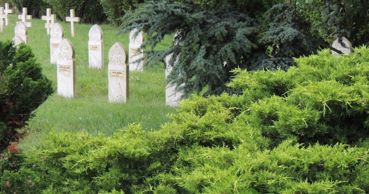 La programmation culturelle du Cercil-Musée Mémorial des enfants du Vel ...