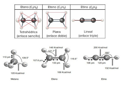 CIENCIA EN LA WEB: Metano, eteno y etino 3D en papel