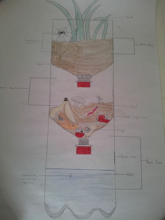 Set 2, Ahmed, Chris and James' Eco-column: Eco-Column Design