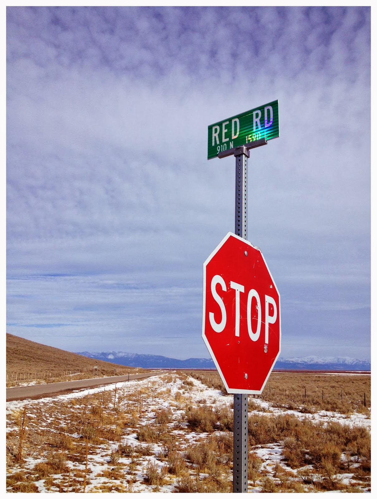 Pink Cookies with Sprinkles: Adventuring on Veteran's Day!