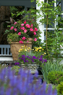 Judy's Cottage Garden: Container Gardens