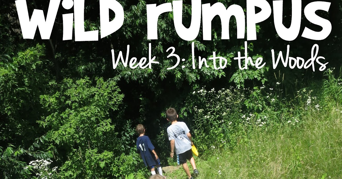Wild Rumpus: Week 3 : library makers
