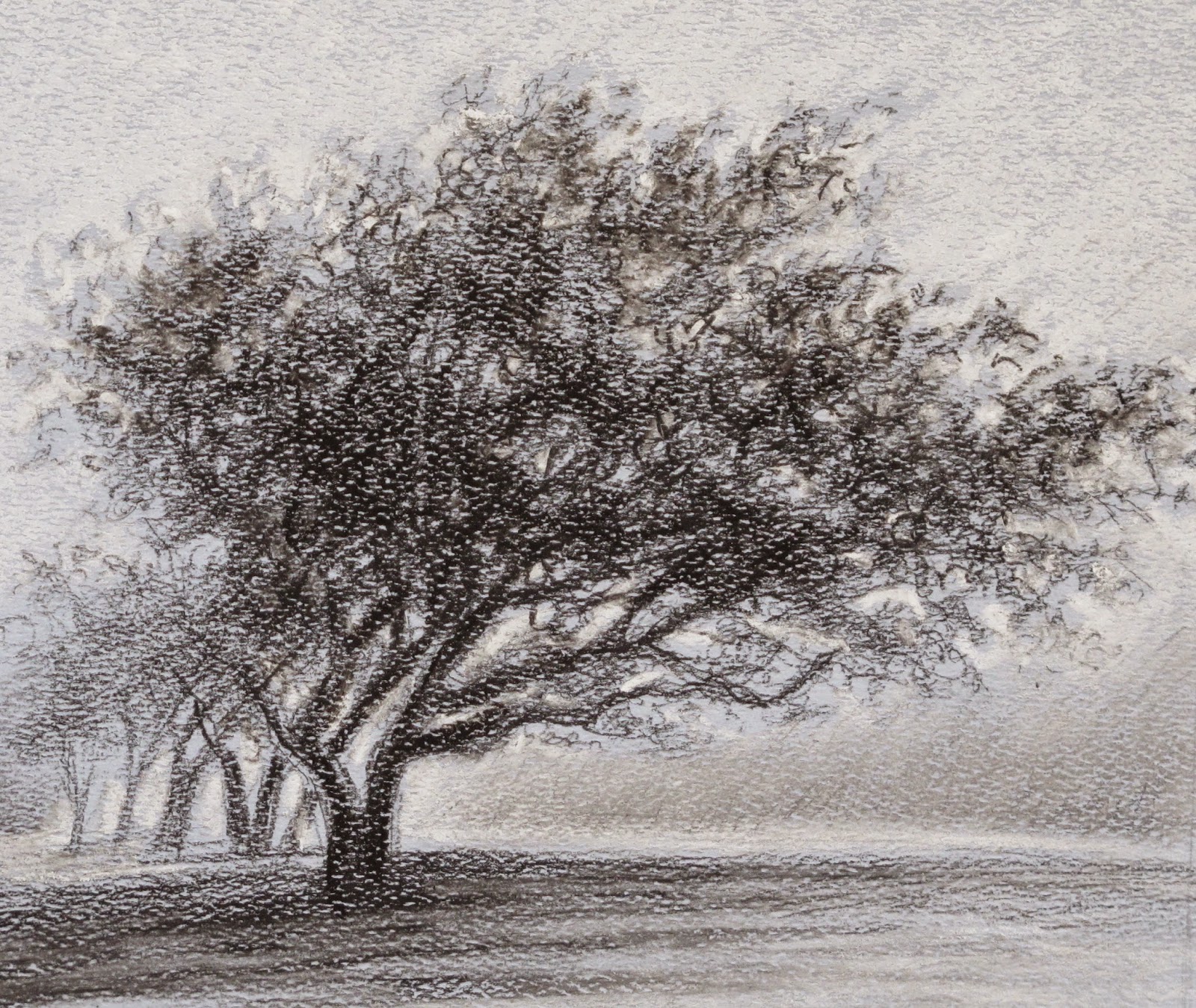Joyce's Inspiration for Drawing and Painting: Tree in Fog