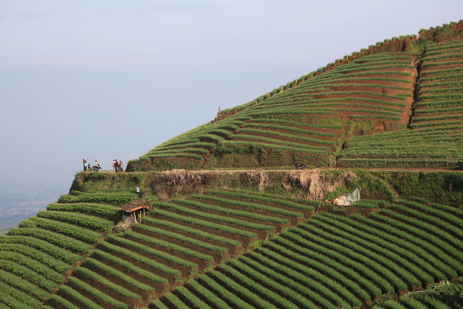 Uniknya Terasering Panyaweuyan Argapura, Majalengka Jawa Barat | Beyond ...
