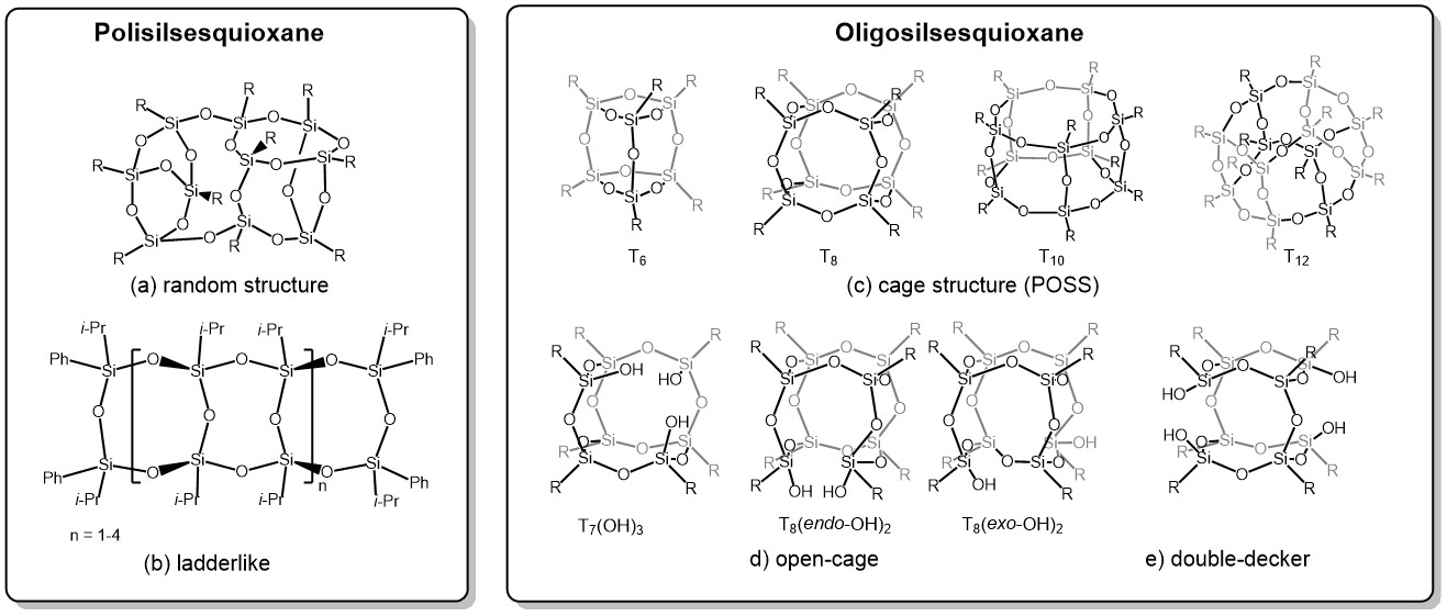 Structures of oligomeric silsesquioxanes (POSS)