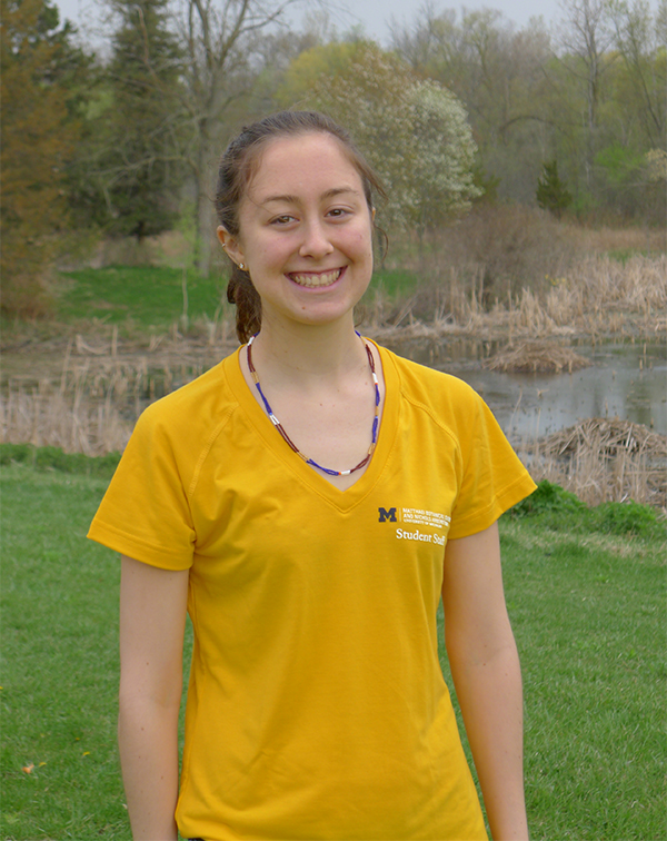 Earth Words: Diverse Mint Family a Boon to Kitchens and Cultures around ...