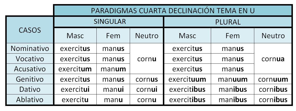 Latín I: La cuarta declinación