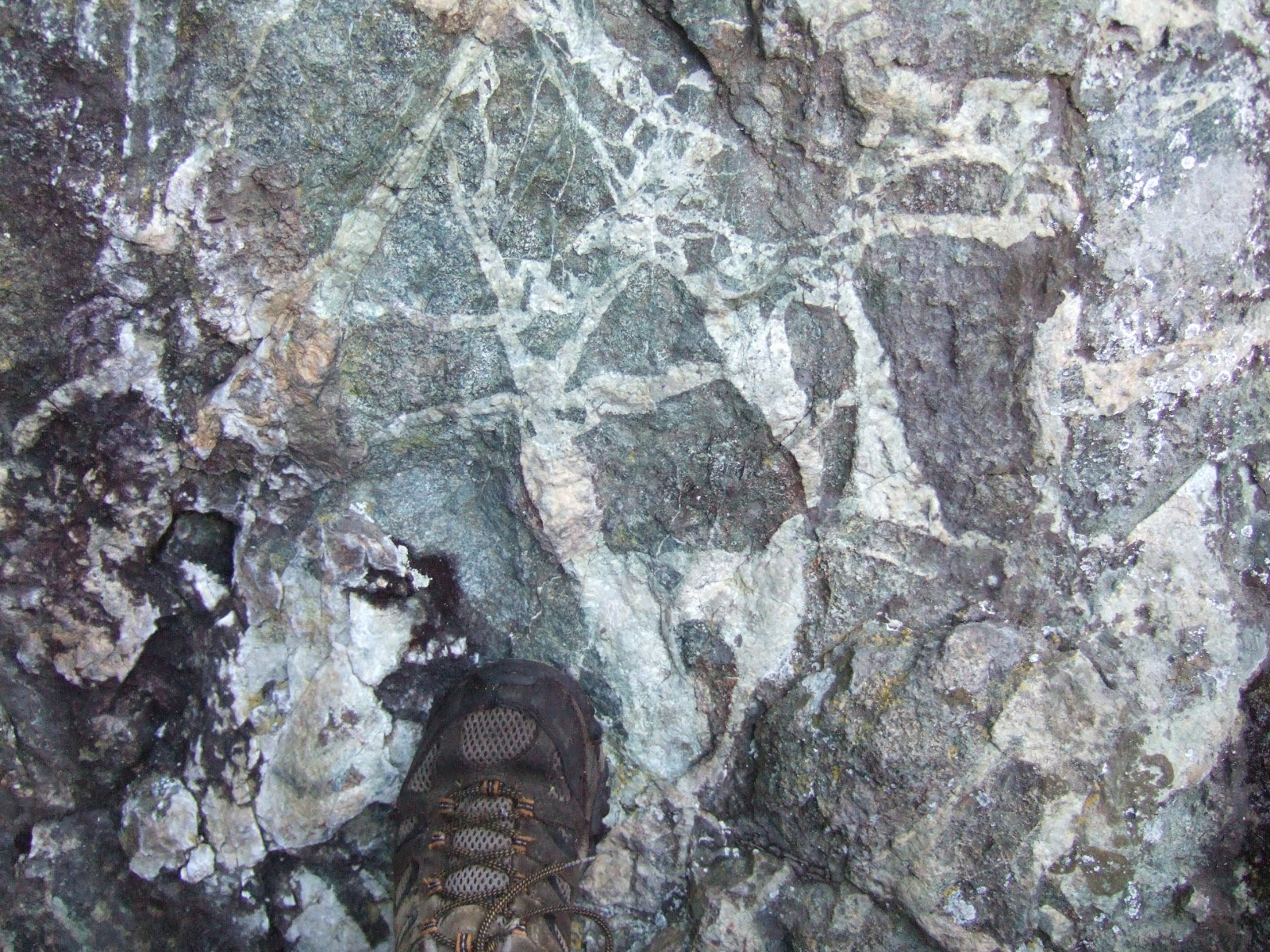 Reading the Washington Landscape: Root of a Volcanic Arc, Fidalgo Ophiolite