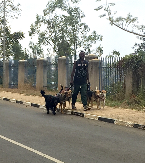 Journey around the world, Kigali - Rwanda: Dog walker in Kigali ...