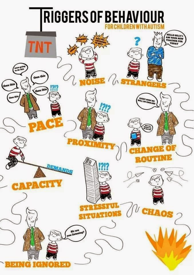 Finding Peace in the Autism Puzzle: Triggers of Behavior in Children ...