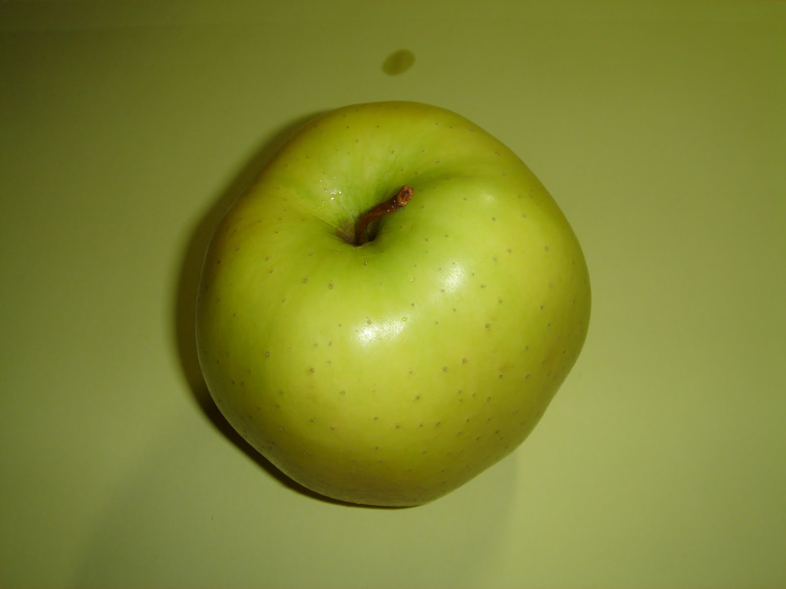 BLOG CLOROFILA: Fruto: Pomo.