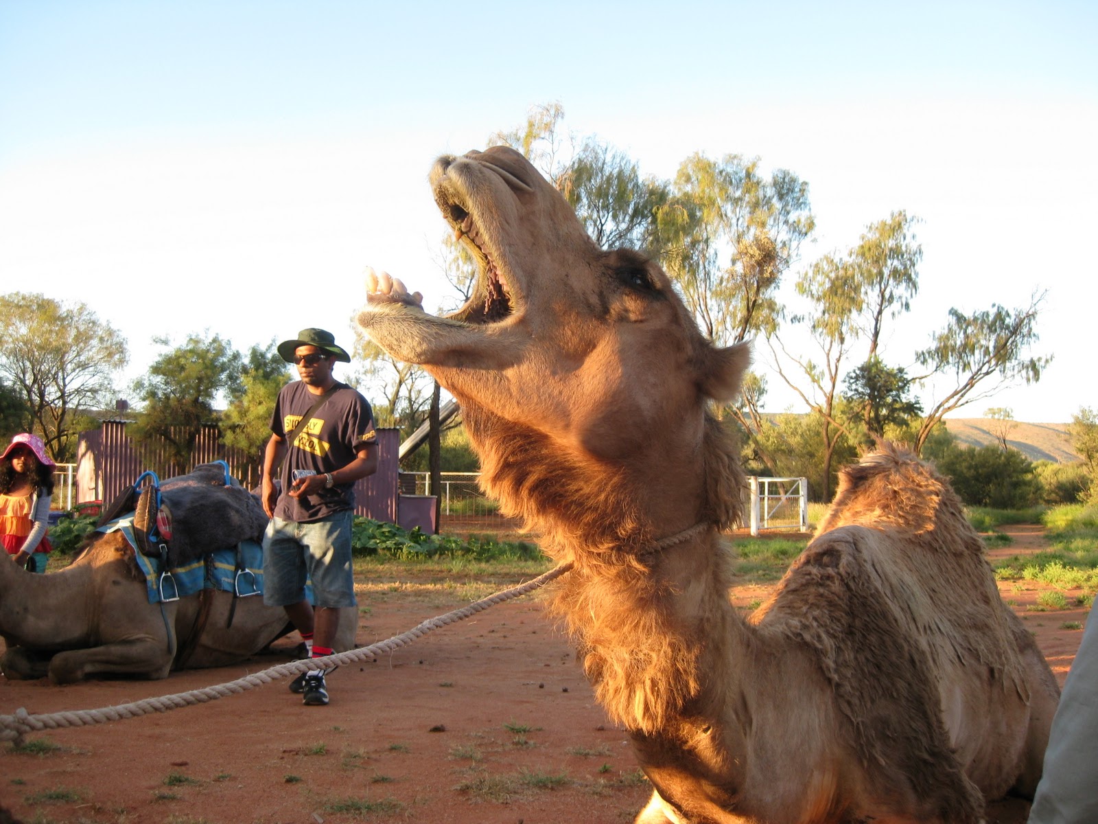 Papua New Guinea Adventure