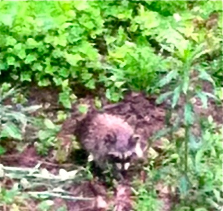 Fun @ The Siberian Gulag