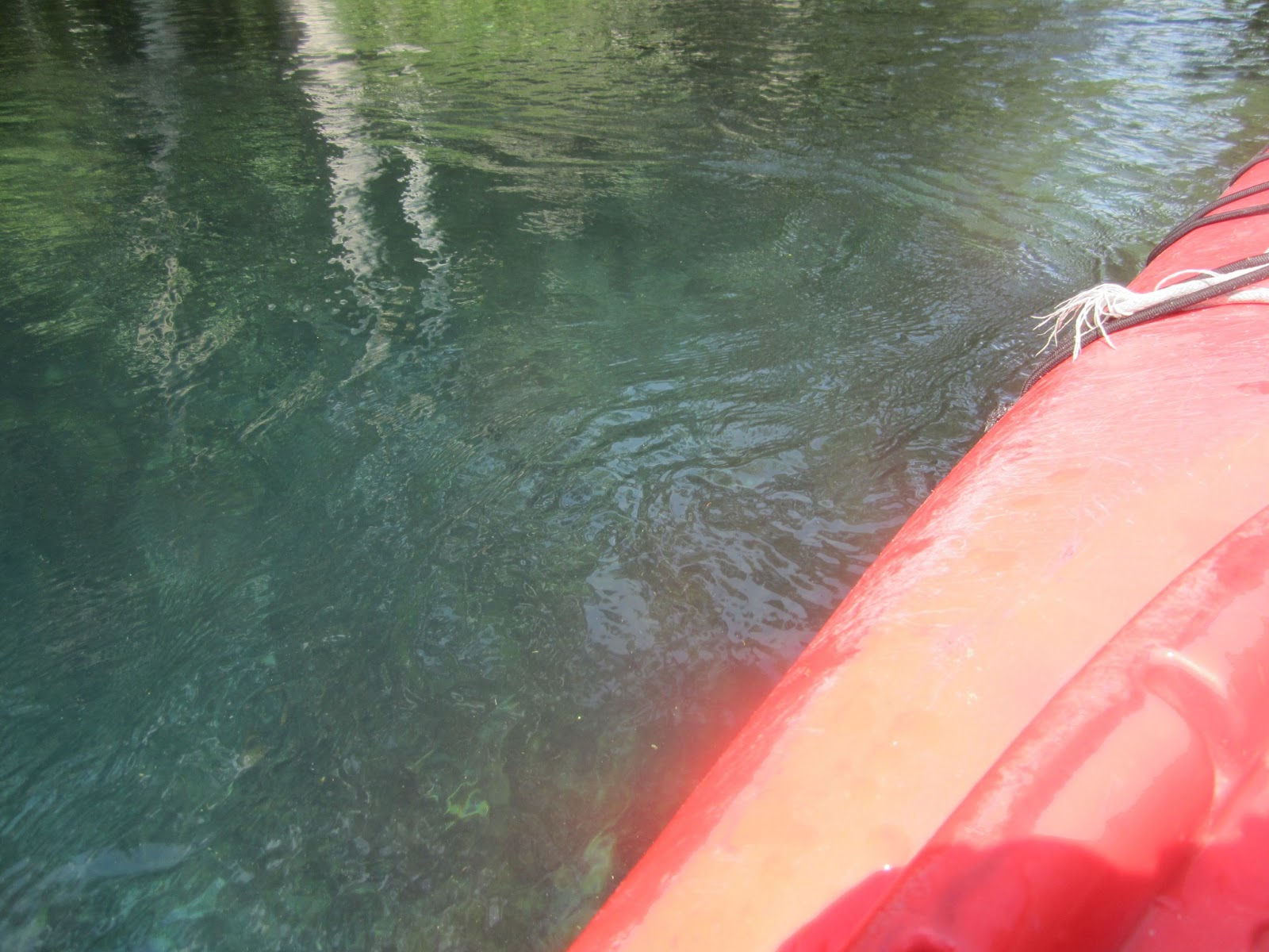 Dave's Yak Tales: Chassahowitzka