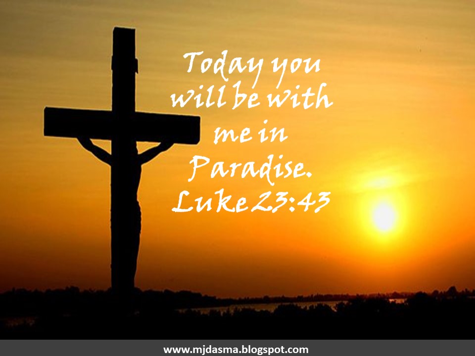 My Reflections...: Reflection for Sunday April 14, Palm Sunday of the ...