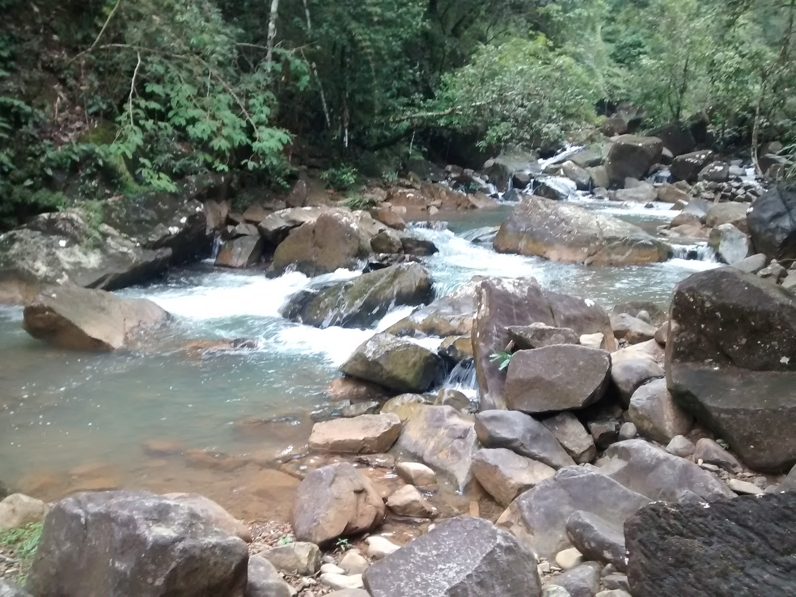 Montañista Sr. Isidro: Cerro Azul, Panamá