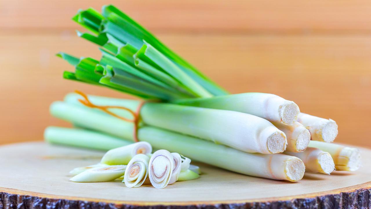 Pemanfaatan Batang Sereh untuk Pencegahan Nyamuk Aedes aegypti pada ...