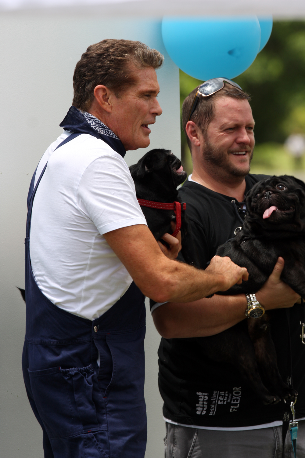 Music News Australia: David Hasselhoff Joins The Celebrity Apprentice ...