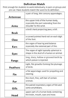 MrsAmy123: Teaching Vocabulary