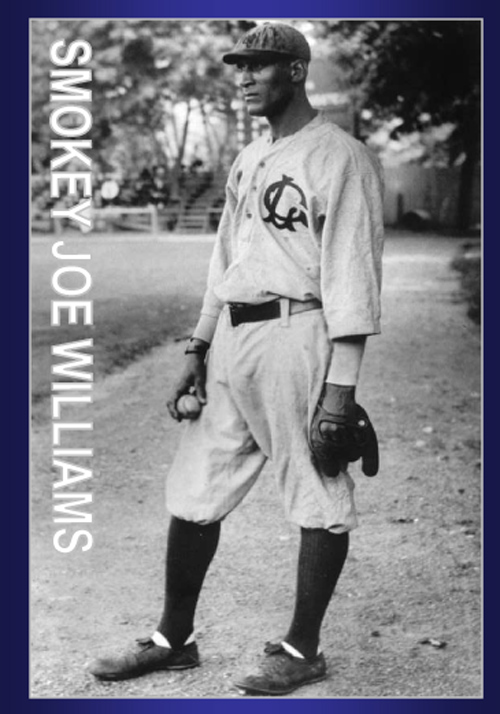 Negro League 40-Trading Cards - Famous African-American Baseball League