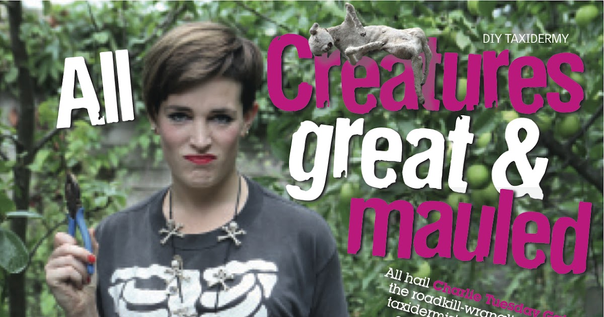BIZARRE TAXIDERMY