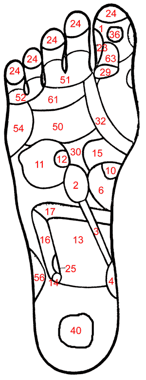 Rehabilitación: ZONAS PARA TRABAJAR EN MASAJE DE PIE