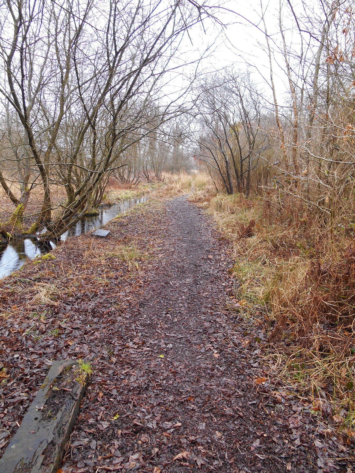 Off the Beaten Track in Somerset: The Sweet Track and other Ancient ...