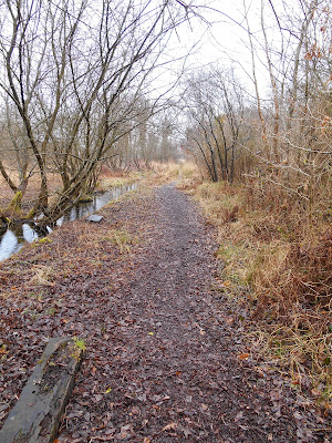 Off the Beaten Track in Somerset: The Sweet Track and other Ancient ...