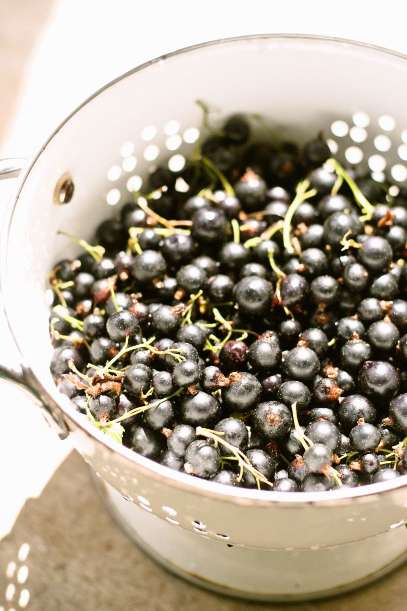 Perfectly imperfect : Syrup of Cassis~Blackcurrant Syrup~