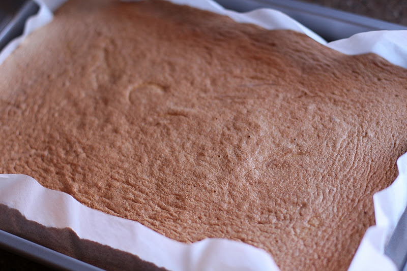 Food Endeavours of the Blue Apocalypse: How to make a Swiss Roll