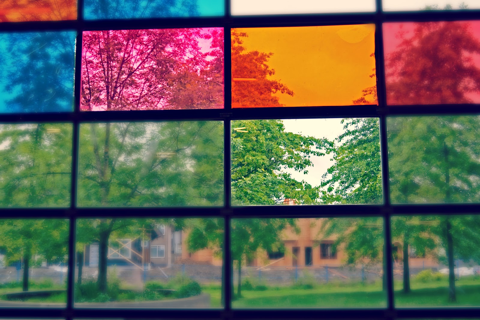 /Photography~: Friday Photos