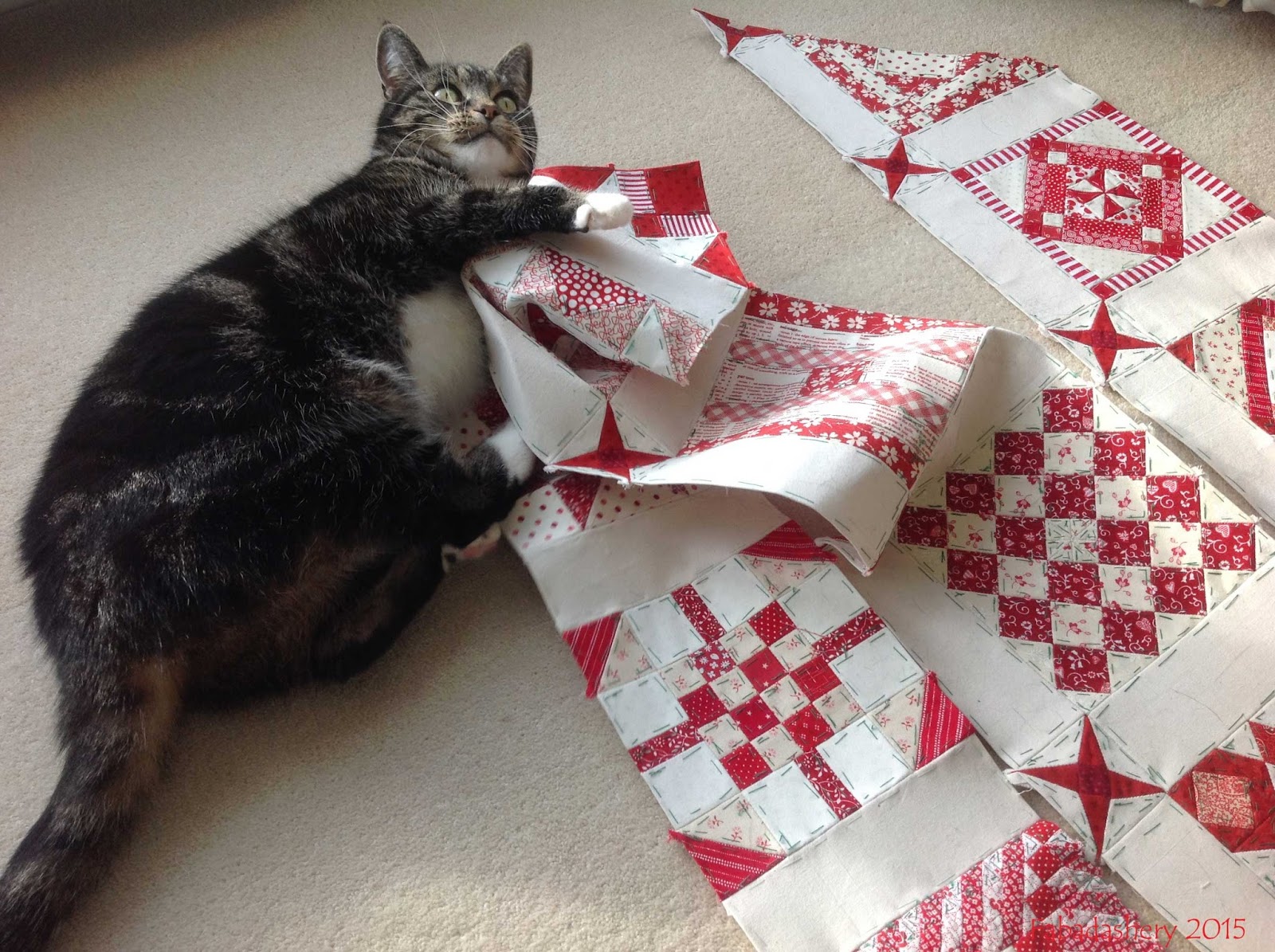 Fabadashery: Pets on Quilts Show 2015 - Cat on Quilt