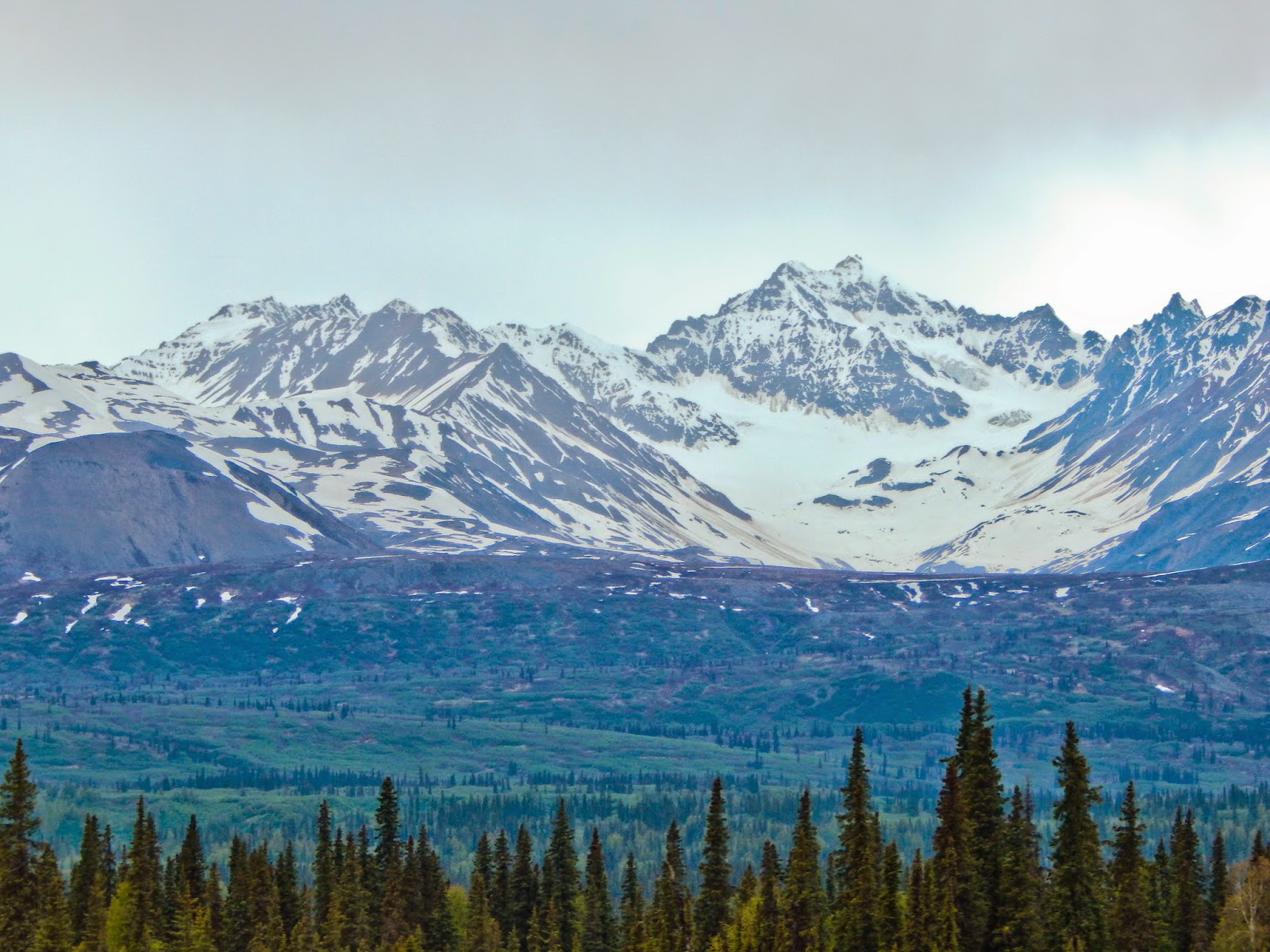 Walking Arizona: Above the Tree Line