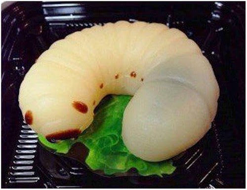 PELIK! Ulat Beluncas Pelbagai Perisa Dijual di Jepun - Gaban Comel