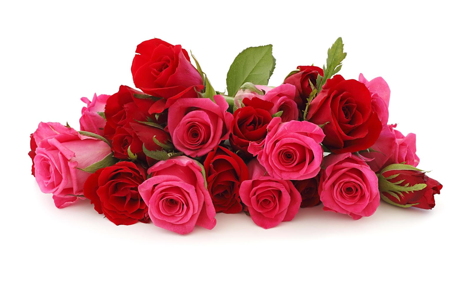 Pink And Red Rose Flowers Picture | Images, Pictures, Wallpapers ...