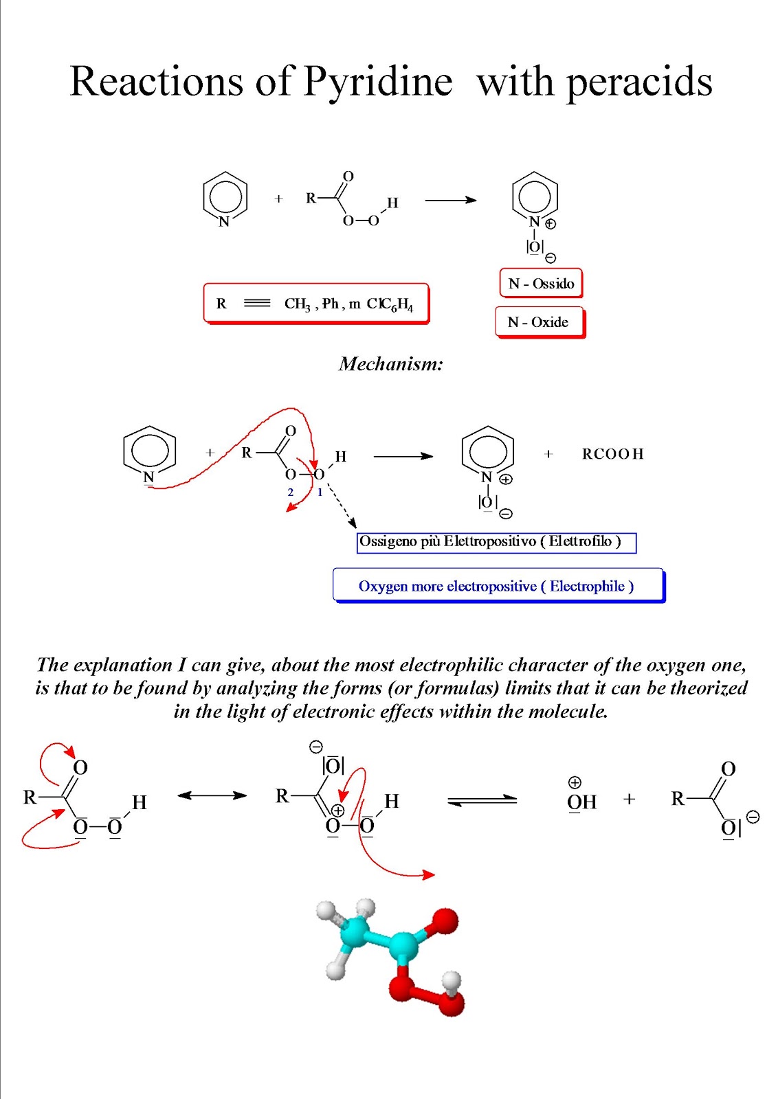 Dynamic Chemistry: Reaction of Pyridine with Peracids