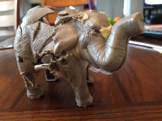 The elephant in the alley