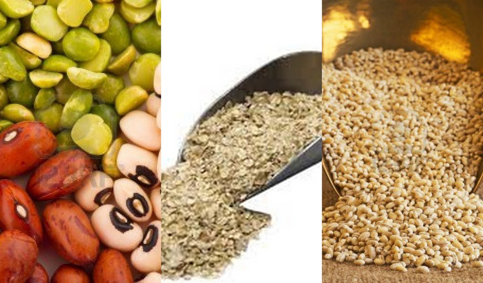 TU SALUD Y LA NUTRICIÓN.: IMPORTANCIA DEL CONSUMO DE FIBRA