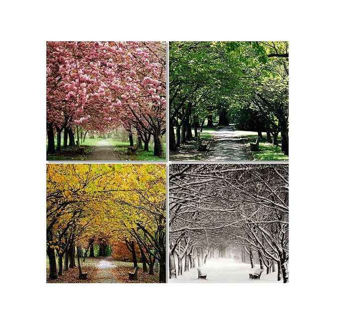 5to 2da TM: "Las cuatro estaciones" Lorenzo Negri