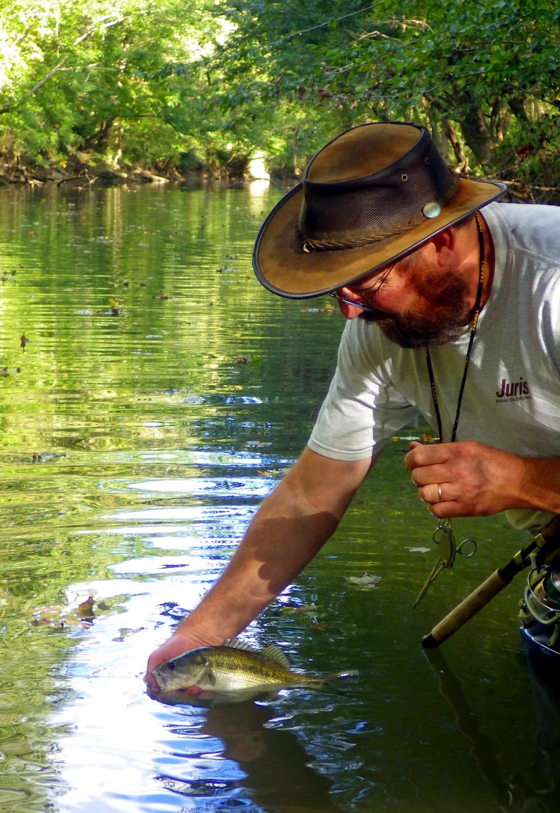 Jeff Samsel Fishing: Splendid Sequatchie