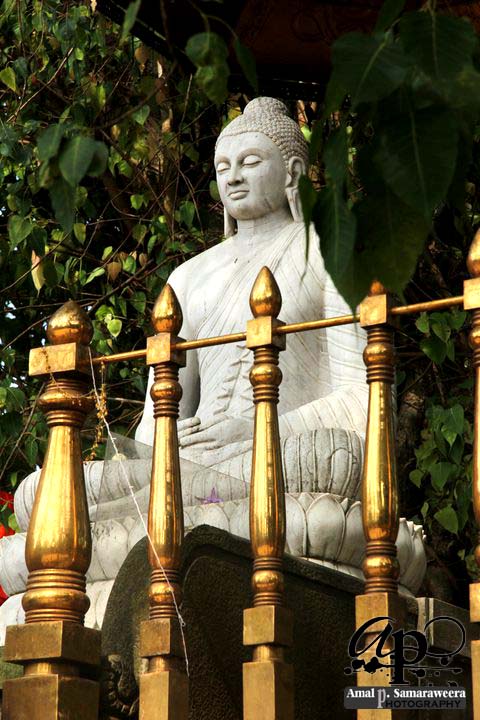 Samaru creation: Culture