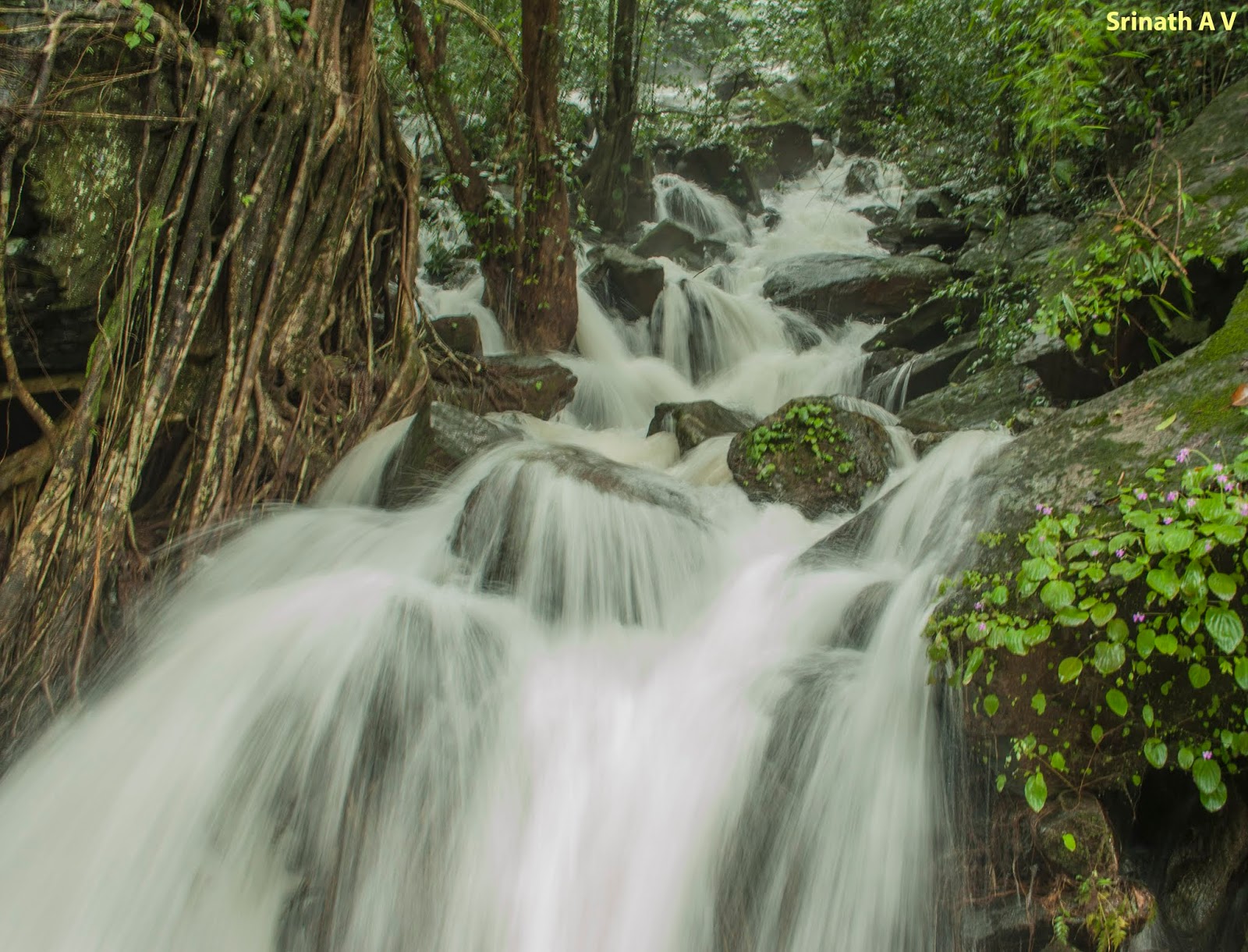 Journey to nature: Waterfalls around KaLasa-Kudremukha