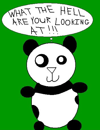 Mean Panda | MissBeGotten