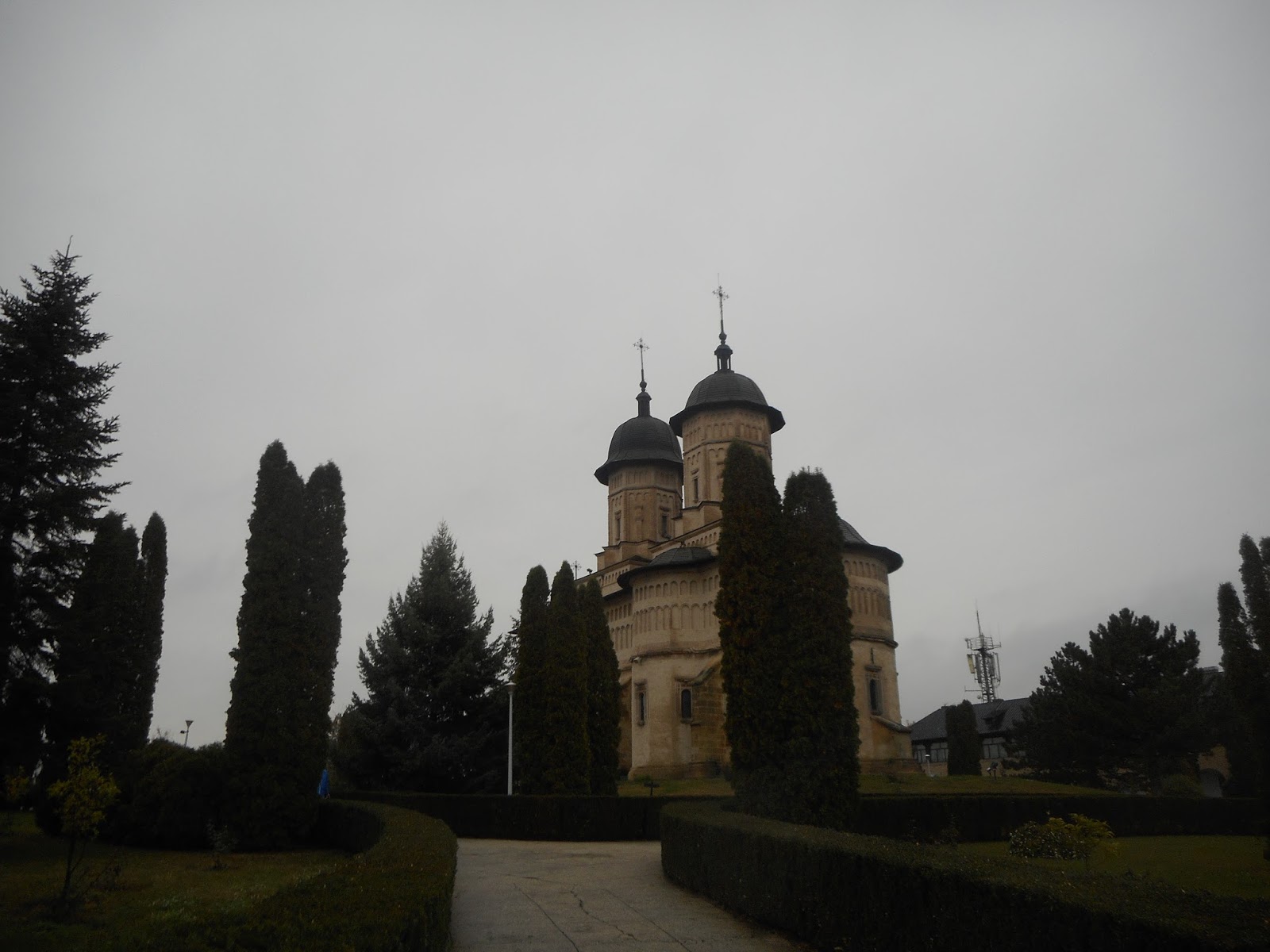 Blog Crestin Ortodox: Iasul cu dragoste!